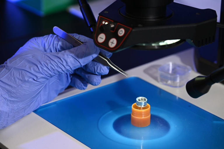 Plutonium compound unlocks rare topological quantum behavior with ...
