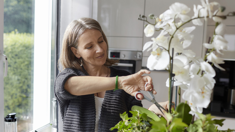 Turn the cut flowers from your garden into beautiful pins with a simple DIY