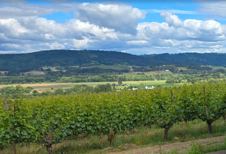 Oregon’s Tualatin Valley is a wine festival hub with idyllic views just ...