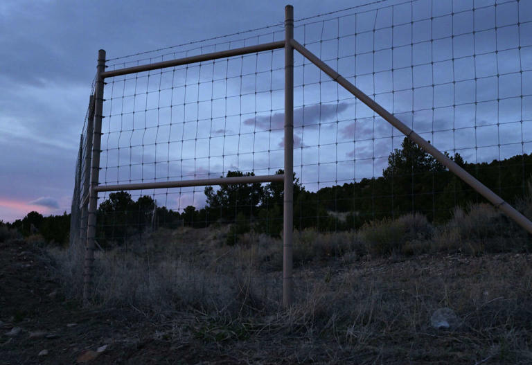 Texas oil heir faces ongoing backlash over Colorado ranch fence
