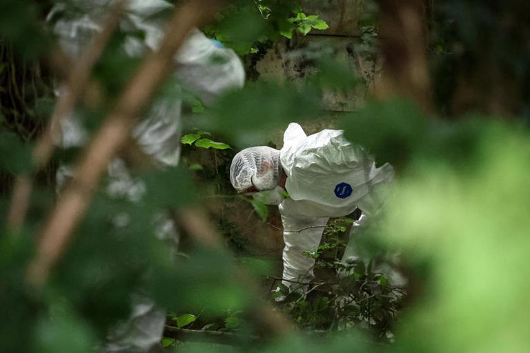 Forensics and organised crime police swoop woodland near schools and ...