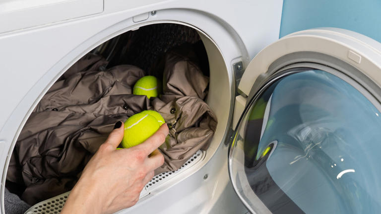 why-you-really-don-t-need-a-lint-roller-anymore