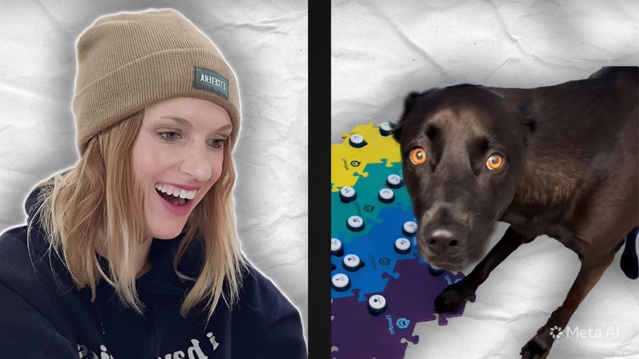 Reacting to the best animal communication videos on the internet