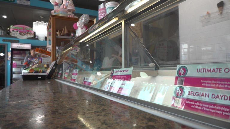 Vienna ice cream store thankful for community backing