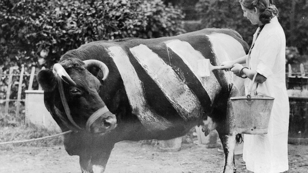 21 rare and haunting historical photographs
