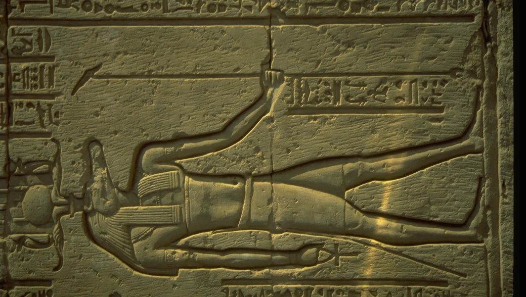 5 alleged alien beings in UFO folklore
