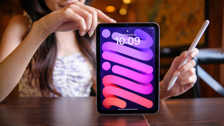 Why are standard iPads cheaper than the iPad Mini?