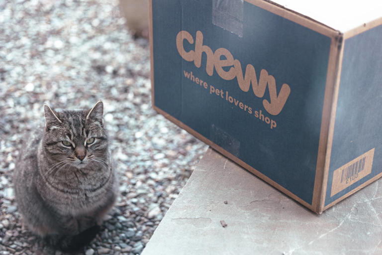 Chewy's top-rated cat tree is 38% off and comes in 6 fun colors