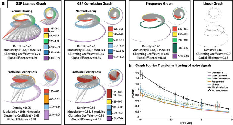 Cochlea network model reveals how inner ear may sort sound from noise