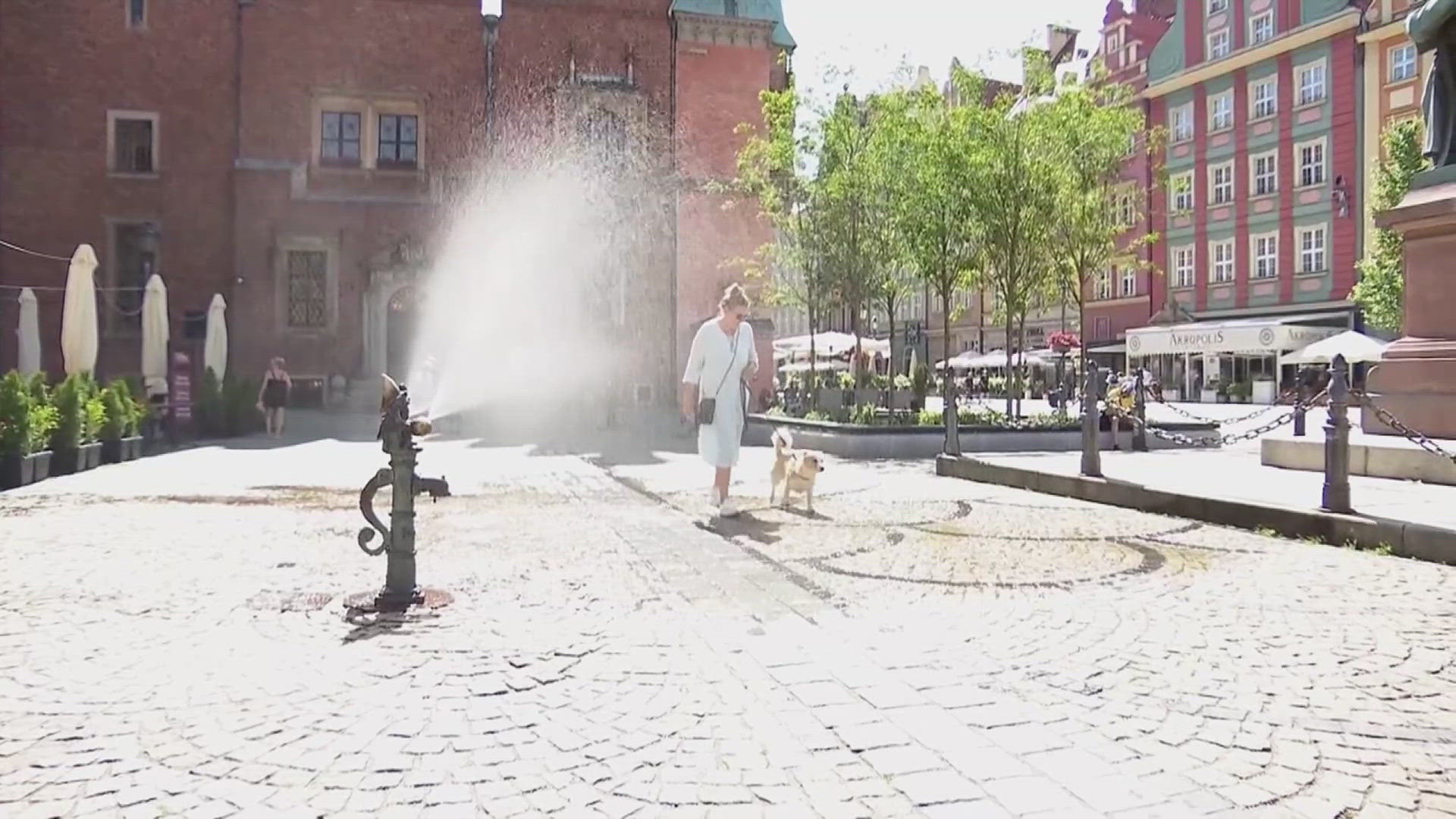 Europe faces deadly, record-breaking heat wave