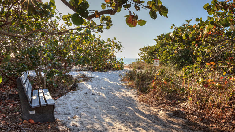 America's 10 wildly scenic seaside parks to visit on the Gulf Coast
