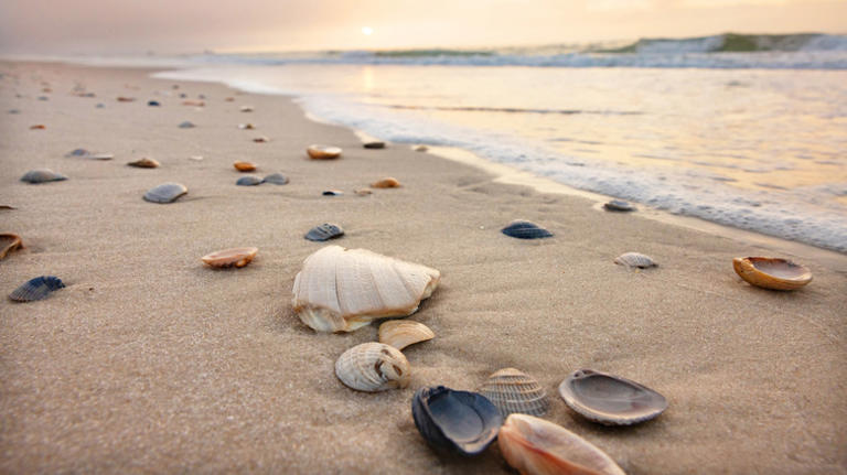 America's 10 wildly scenic seaside parks to visit on the Gulf Coast