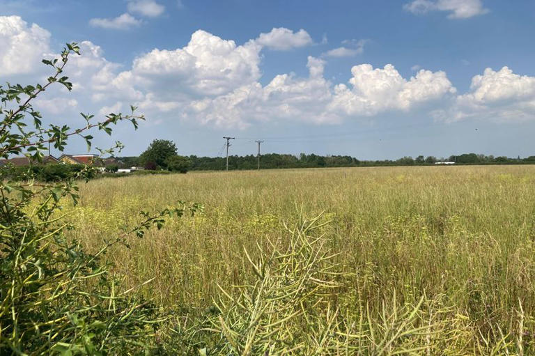 Concerns over plans for 250 homes next to popular Yorkshire country park