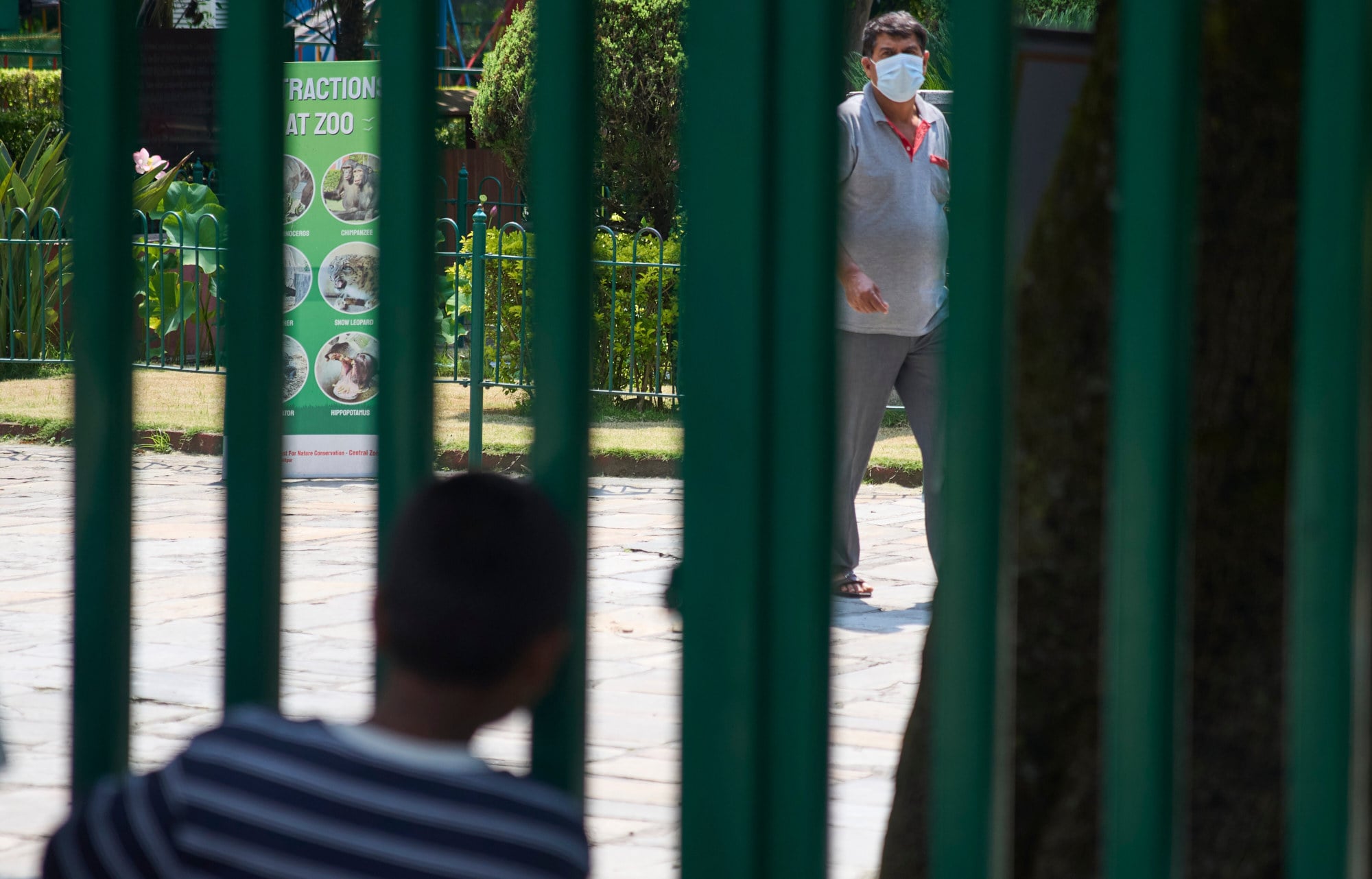 Nepal’s bird flu outbreak spreads, breeding pandemic mutation fears