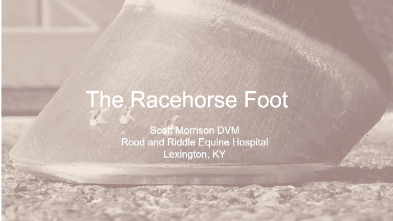 Every degree matters: Hoof balance is critical to racehorse soundness