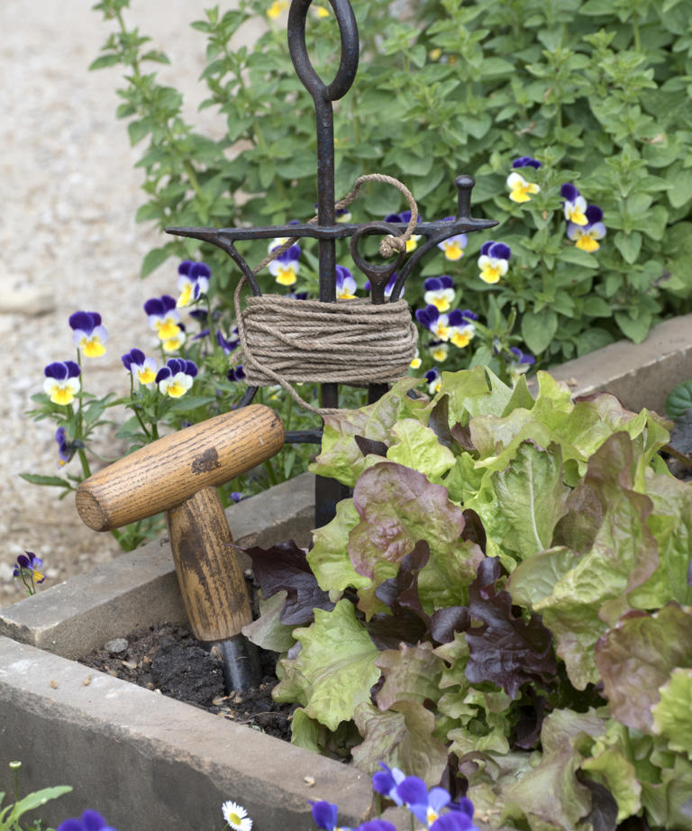 Plant these 7 vegetables in July for a garden that keeps feeding you ...