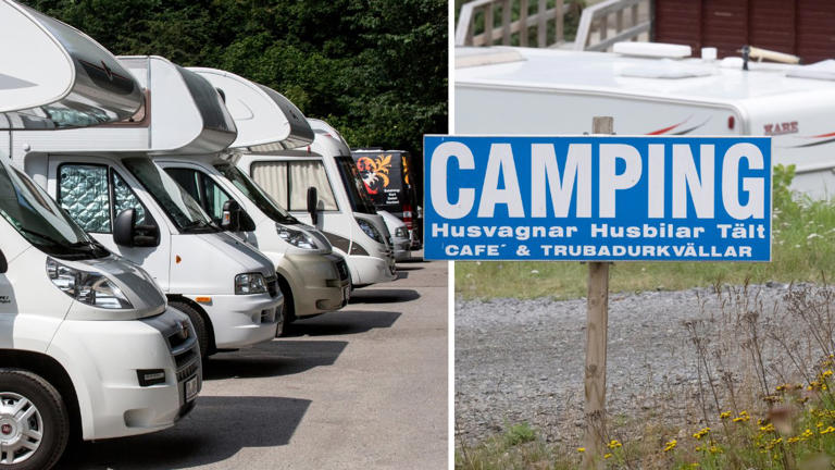 Sveriges bästa campingar för barnfamiljer – platserna som sticker ut
