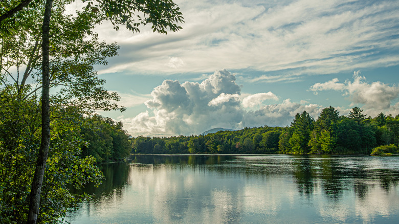 Maine's remote trail system under two hours north of Bangor has ...