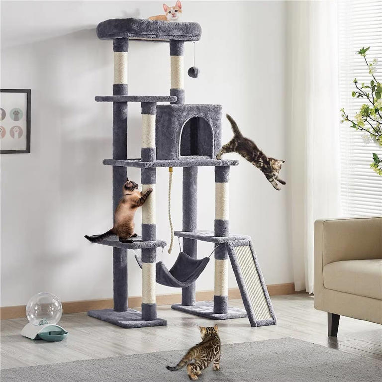 Chewy's top-rated cat tree is 38% off and comes in 6 fun colors