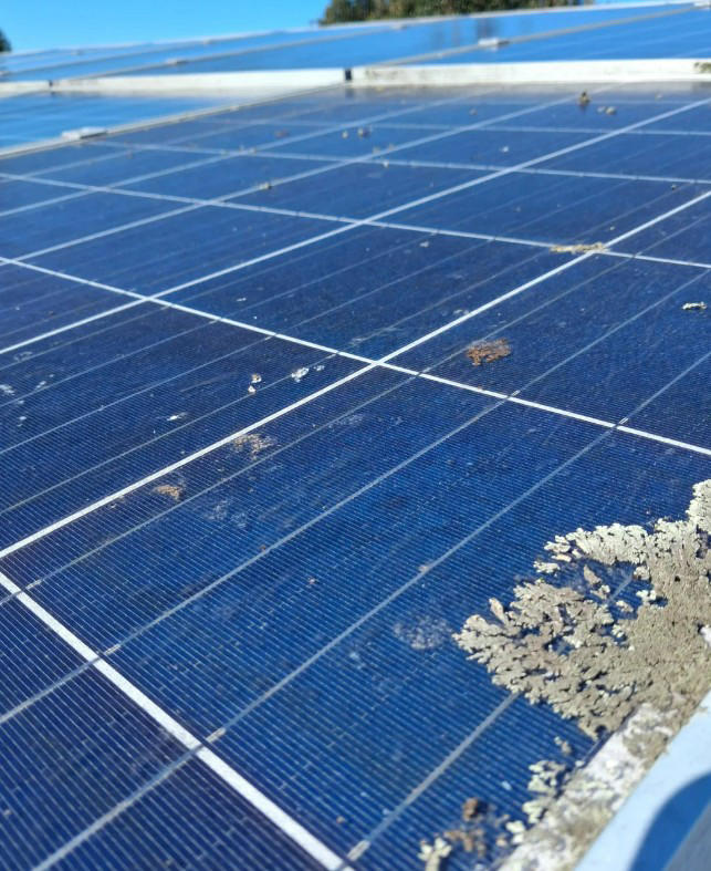 Dirty solar panels? Homeowner says one cleaning pushed output from 2.46 ...