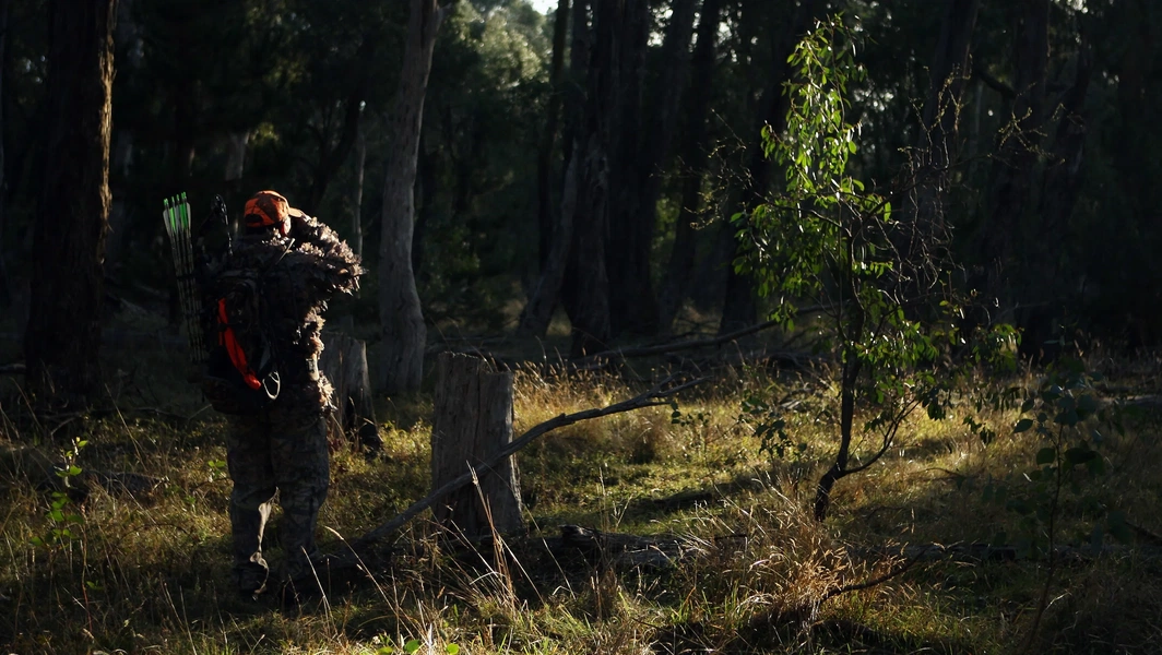 6 warning signs of an unproductive hunting spot