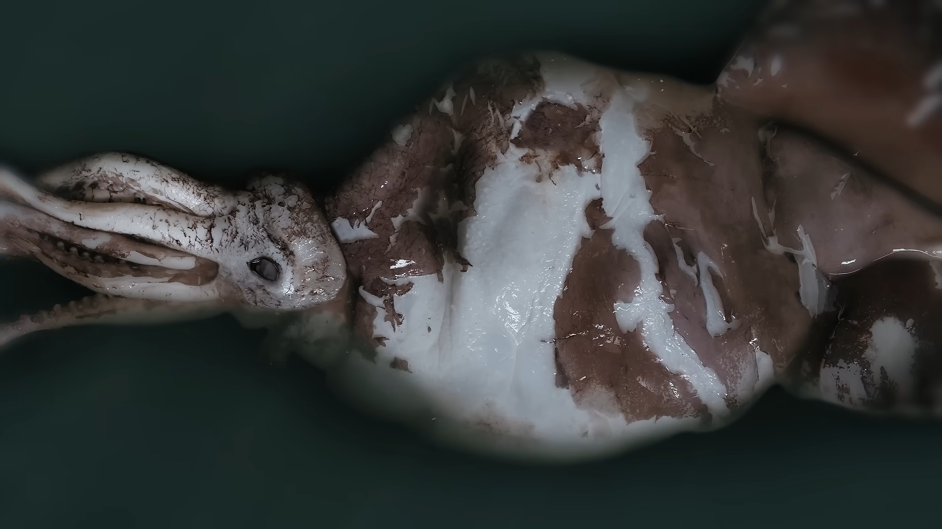 A 1,100-pound squid was finally filmed alive - then its skin changed in ...