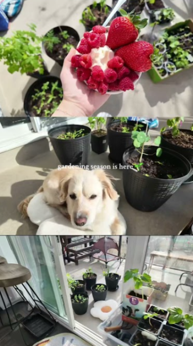 Building my dream garden from scratch