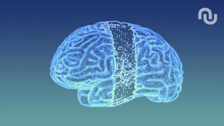 Brain2Qwerty v2 : Meta dévoile une IA qui décode des phrases dans votre ...