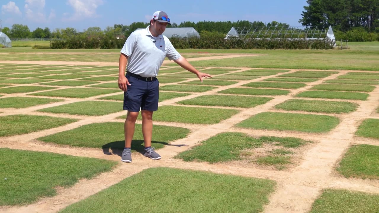 How scientists test the grass used on America's best golf courses