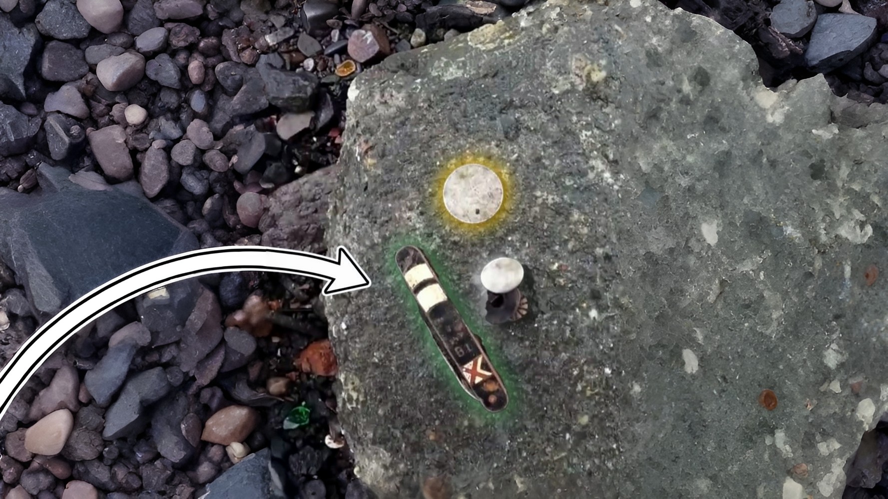 Strange find on a secret shore: What is it?