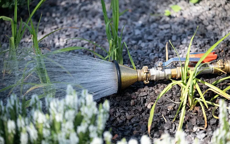 Smart lawn care tips for extreme weather