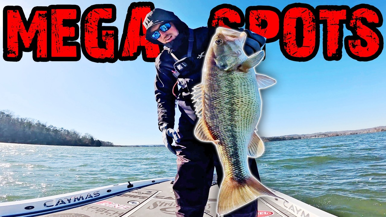 Catching Mega Spots Lake Guntersville Cold