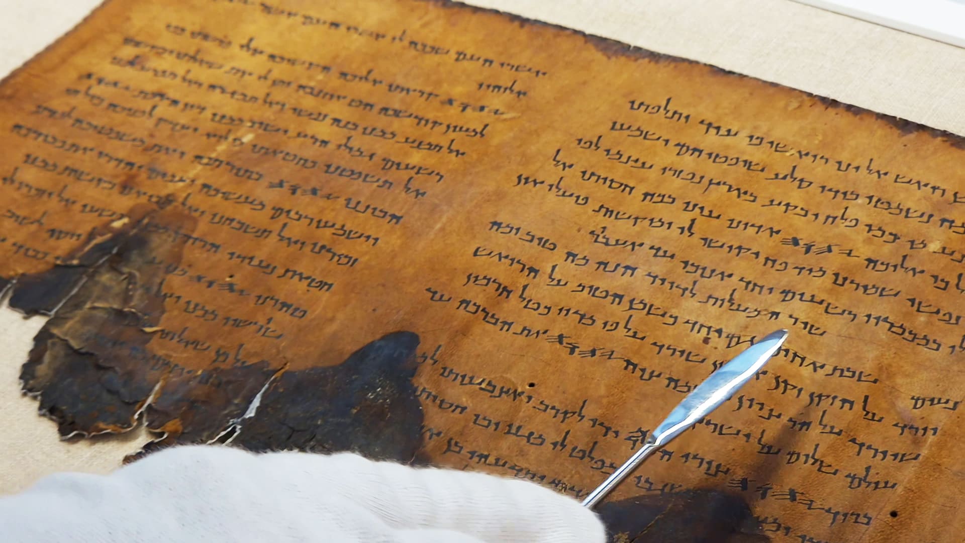 New AI-powered research project aims to uncover the origins of the Dead ...