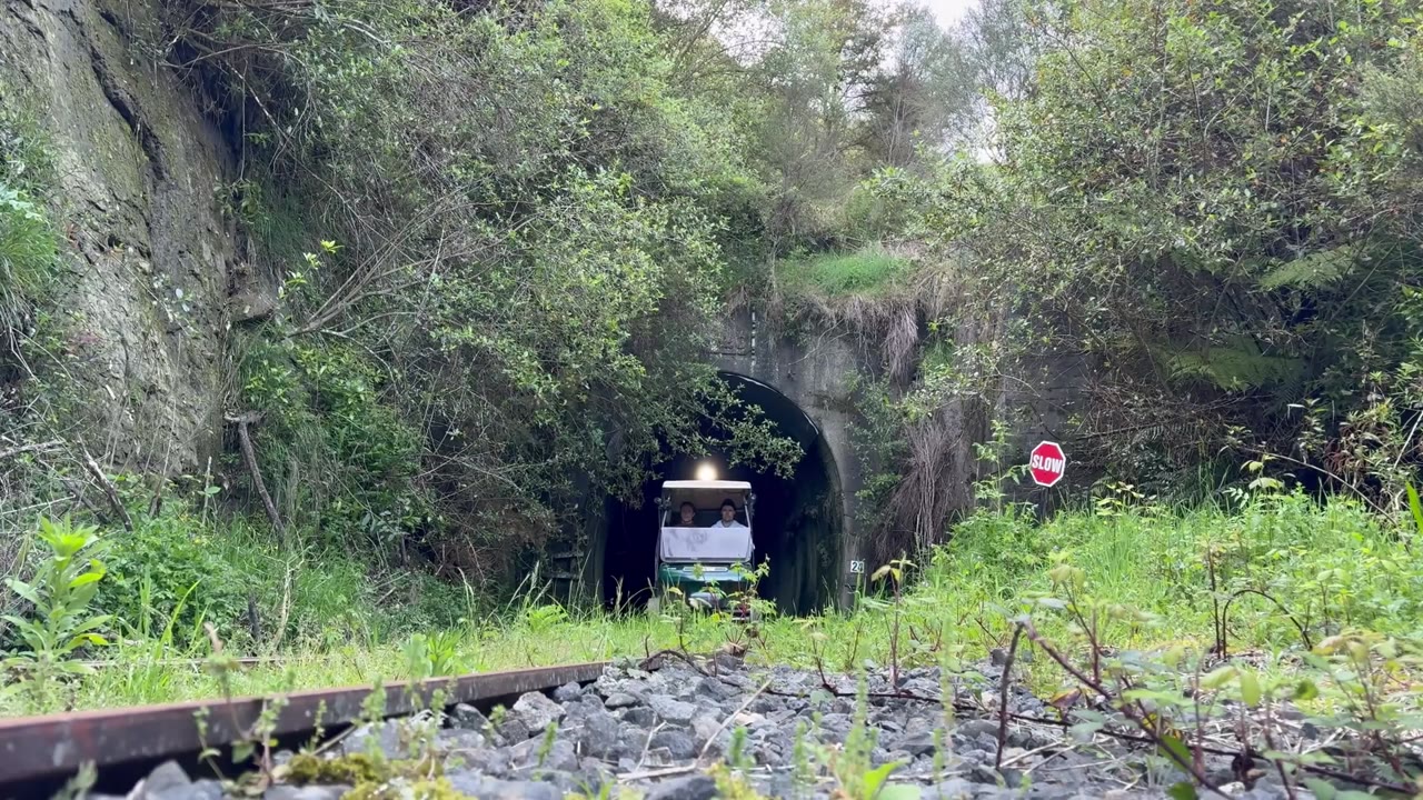 This is what happens when you connect a golf cart to a free railroad
