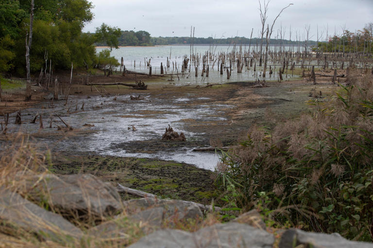 NJ drought and heatwave will raise wildfire risk, strain water supply