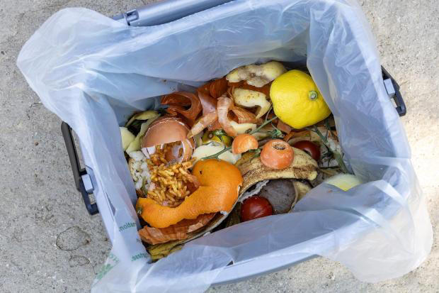 More than 4,000 tonnes of food waste recycled in just seven months