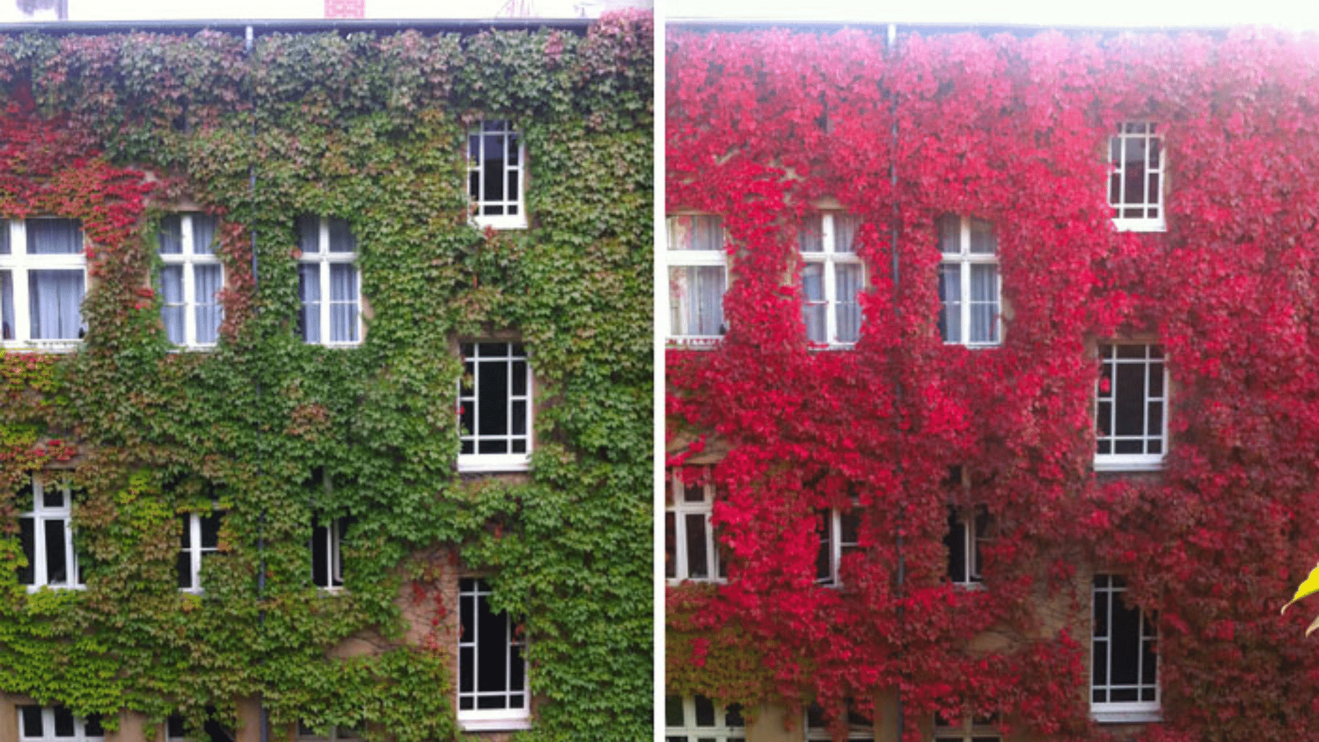 Clever comparison images that put things in perspective