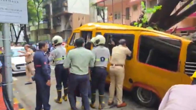 Mumbai: One student dies, others severely injured as tree falls on ...