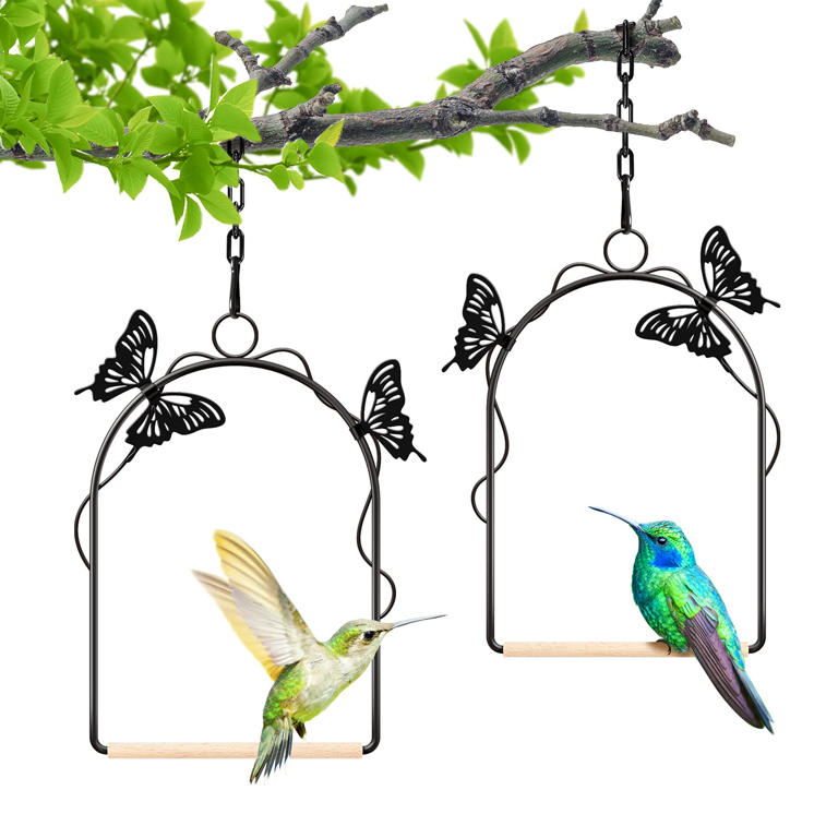 Amazon's selling a charming hummingbird swing that gives tiny visitors ...