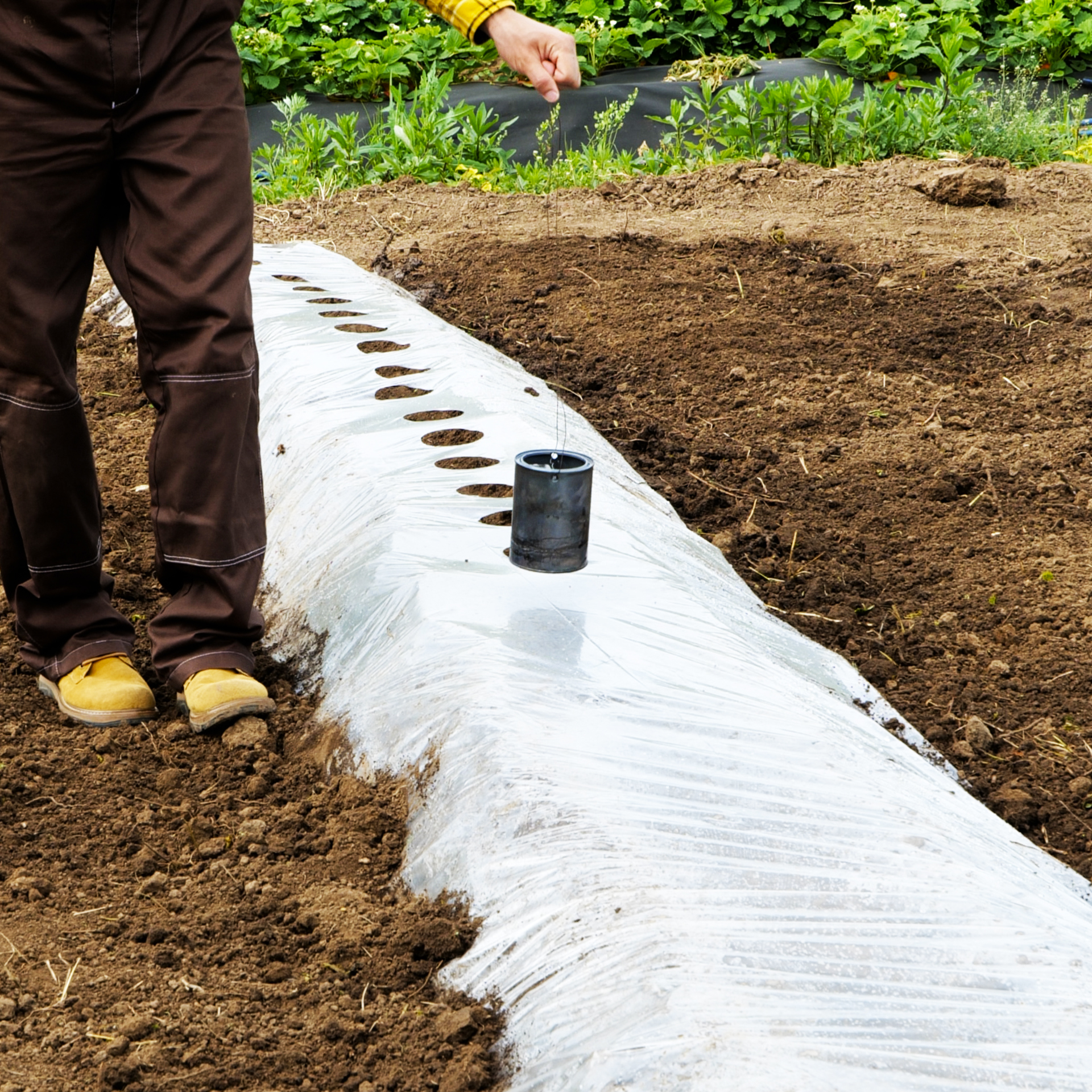 Creative gardening: budget-friendly DIY tools for a thriving garden!