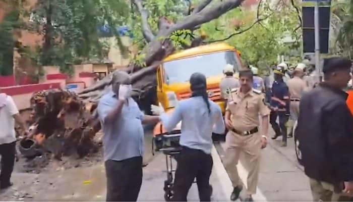11-year-old student dies after tree falls on school bus in Mumbai's ...