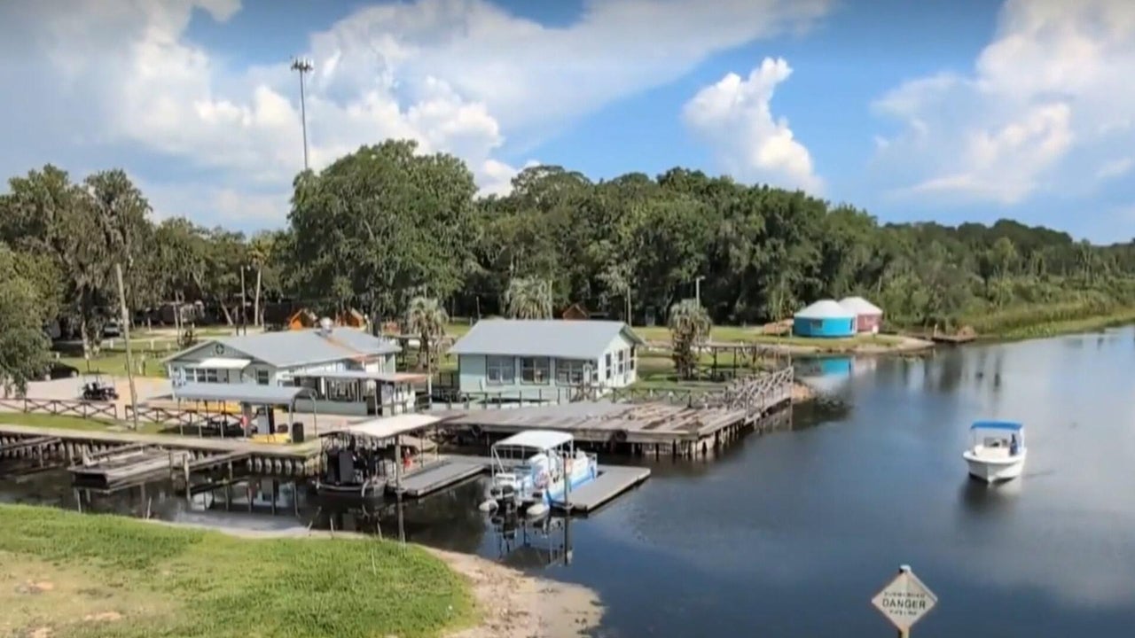 Recent alligator and crocodile attacks in Florida, Mexico raise safety ...