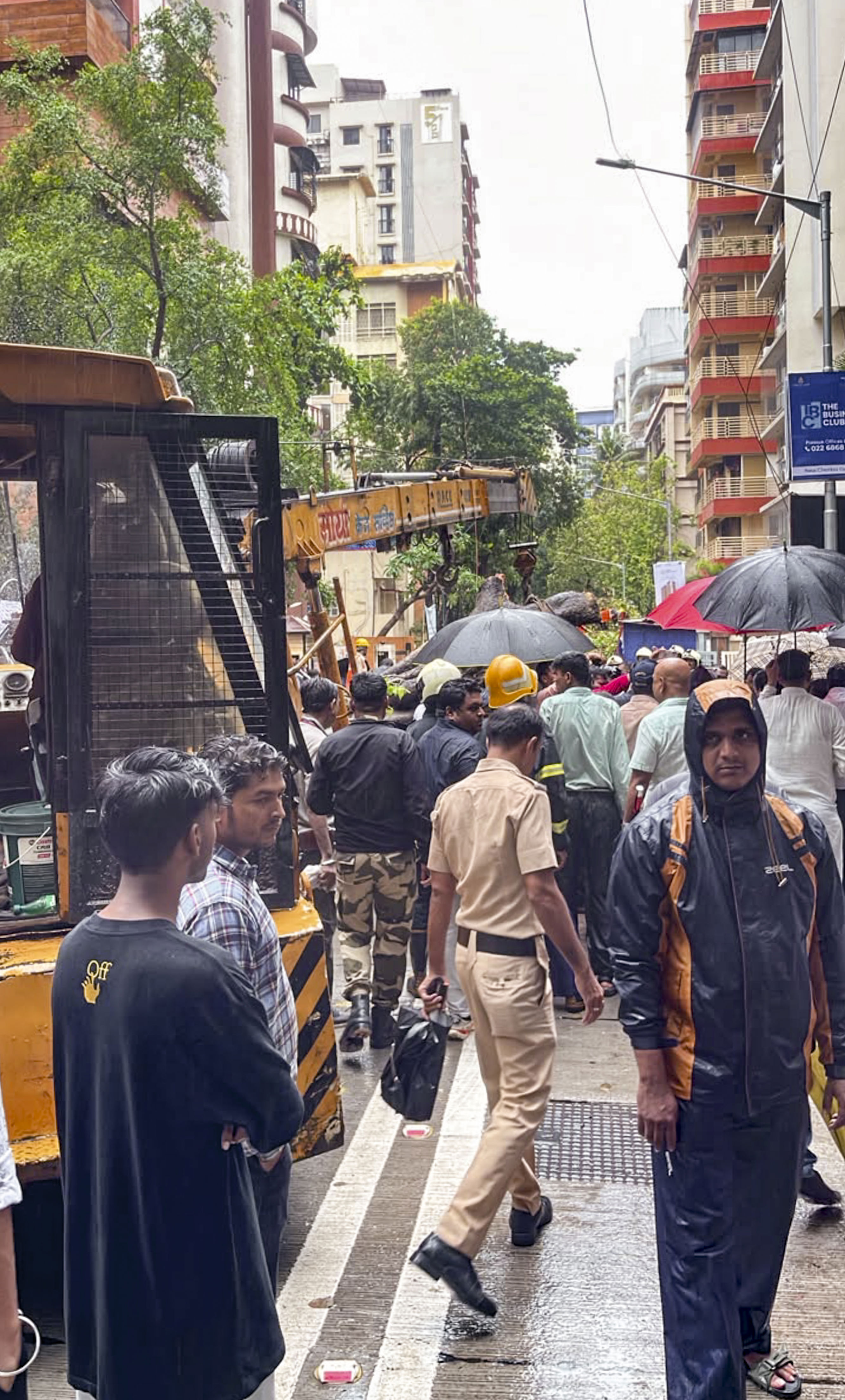 11-year-old student killed, four injured as peepal tree falls on school ...