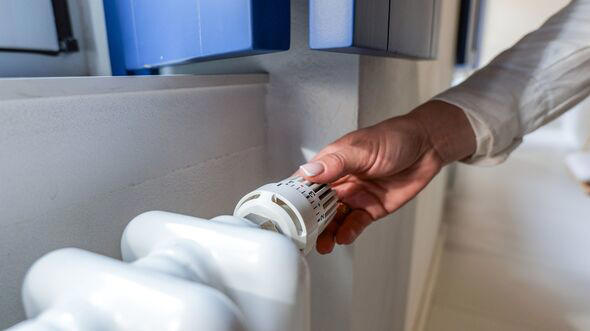 Remove rust from radiators with one cleaning product that isn't vinegar ...