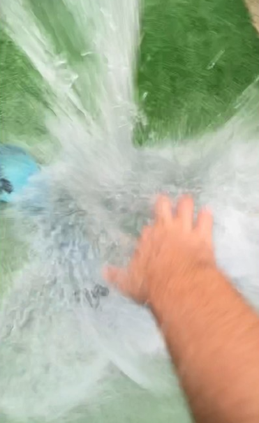Spider-Man flooded my garden the craziest backyard disaster ever
