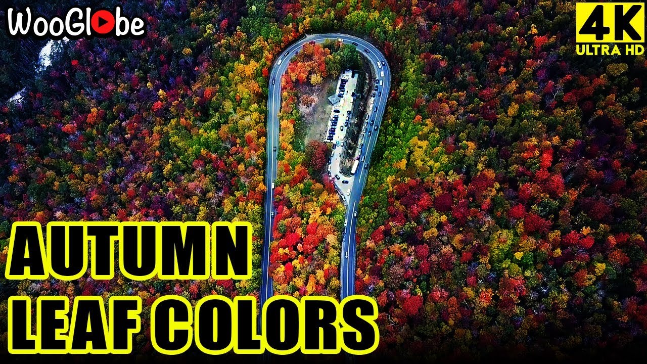 Fall foliage: Spellbinding aerial footage of New Hampshire's White ...
