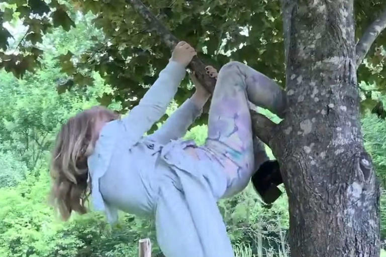 6-year-old girl bitten by rabid bat while climbing tree outside her ...