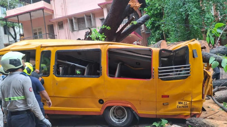 Ride home cut short: 10-year-old killed as tree crushes school van in ...
