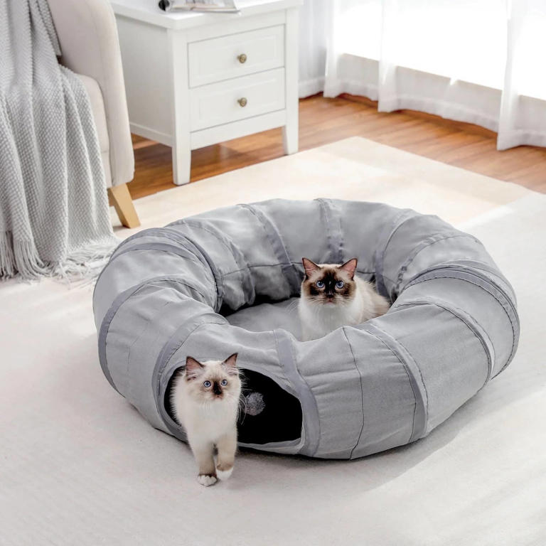 Walmart's 2-in-1 cat tunnel bed gives cats a place to sleep and play ...