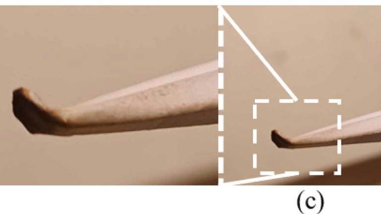 Scientists answer vital question: What happens if you throw a paper ...